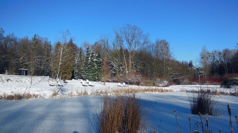 A winter version of beautiful places in my park